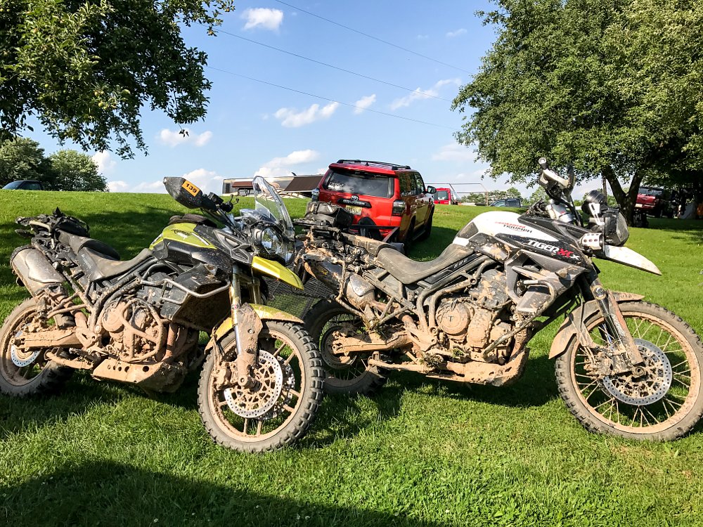 Tiger tales: Modifying an adventure bike for off-road abuse - RevZilla