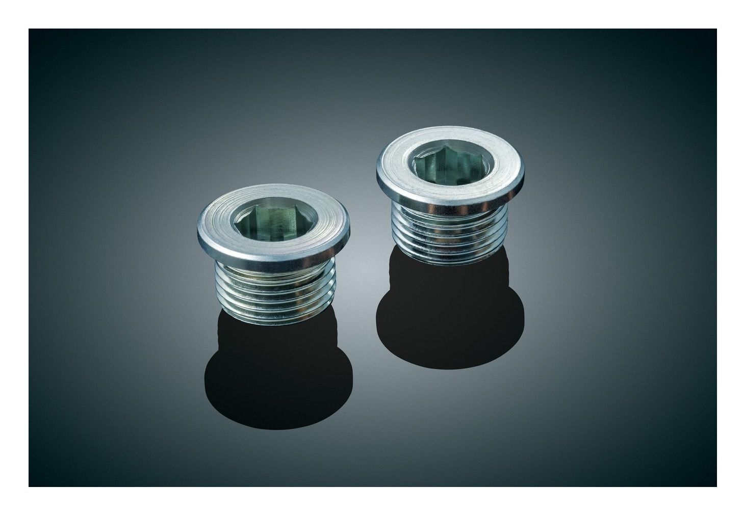 Kuryakyn O2 Sensor Port Plugs | 20% ($1.40) Off! - RevZilla