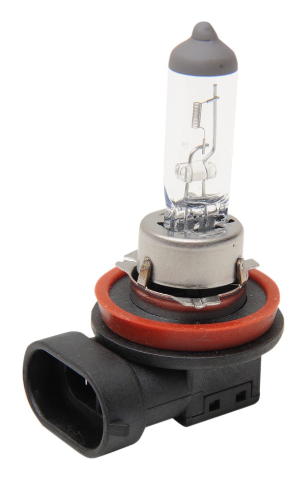 Drag Specialties H8 Halogen Headlight Bulb - RevZilla
