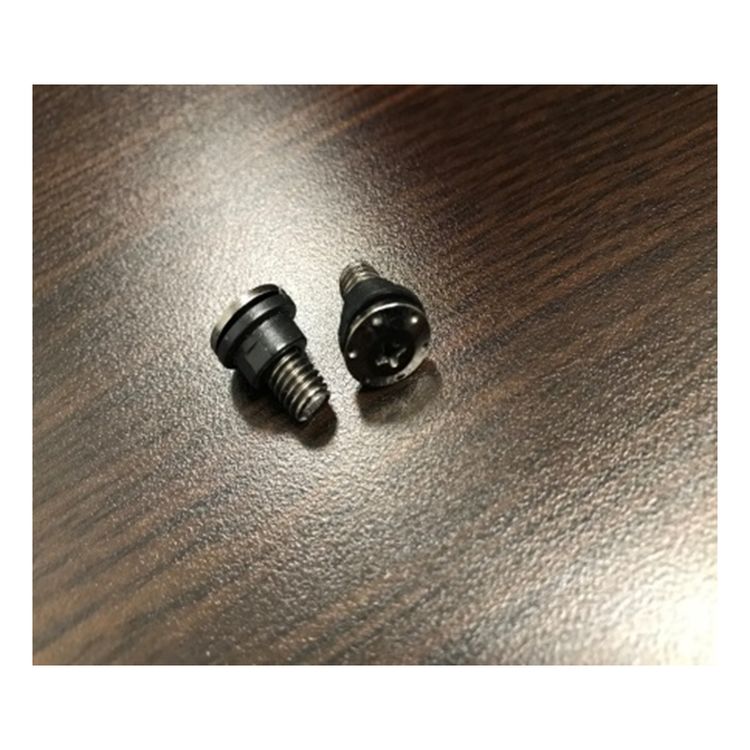 Simpson Mod Bandit Pivot Screw Set - RevZilla