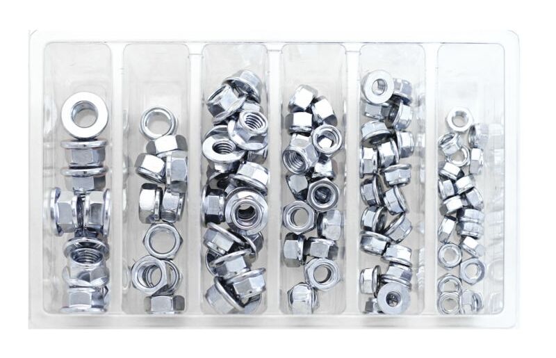 Bolt Hardware Fuji Lock Nut Assortment - RevZilla