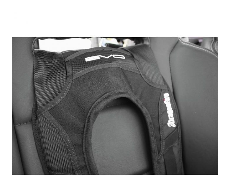 DragonFire Racing EVO Harness - RevZilla