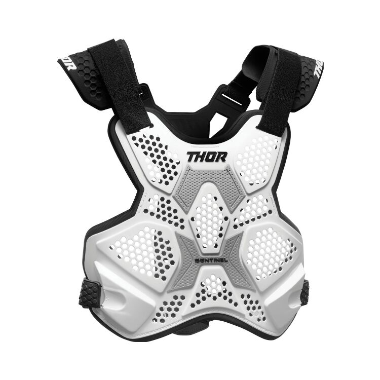 Thor Sentinel LTD Race Roost Guard - RevZilla