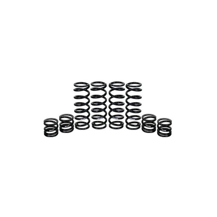 ZBroz Racing Stage 1 Springs Polaris General XP 4 1000 2020 - RevZilla