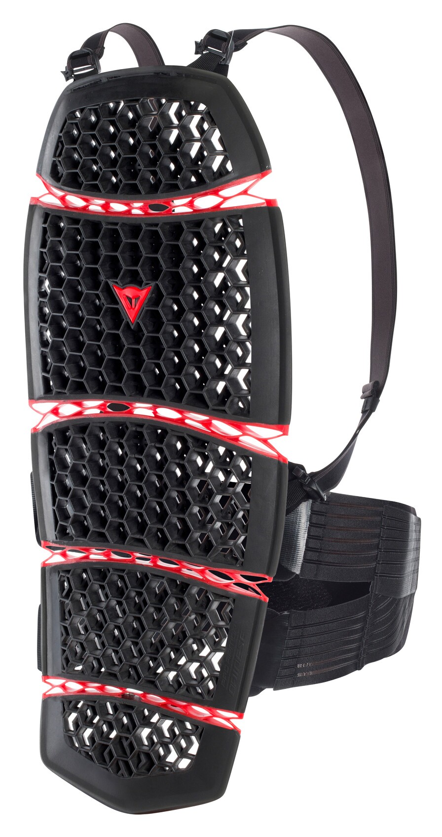 Dainese Pro Armor 2.0 Back Protector - RevZilla