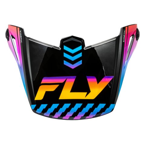 fly racing logo vector