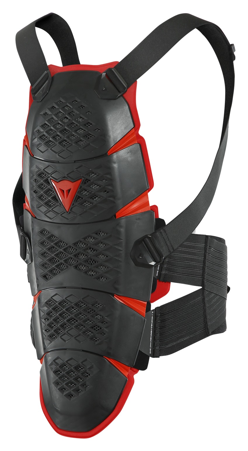 Dainese Pro Speed Back Protector - RevZilla