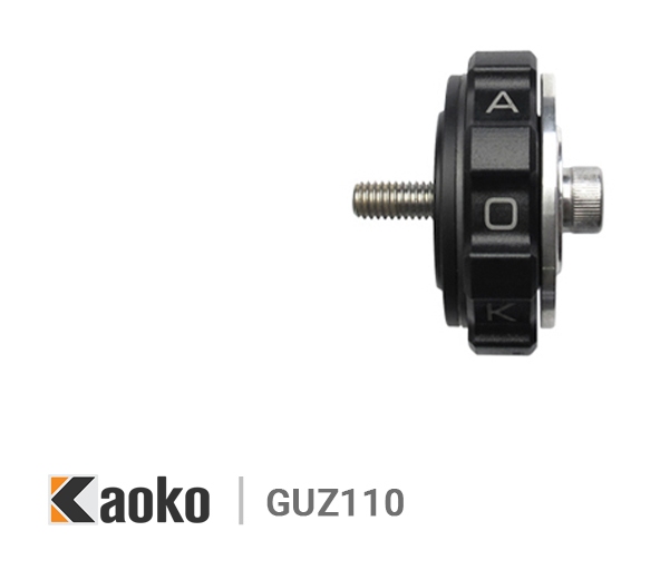 Kaoko Throttle Stabilizer Moto Guzzi California / Eldorado 2013-2020 ...