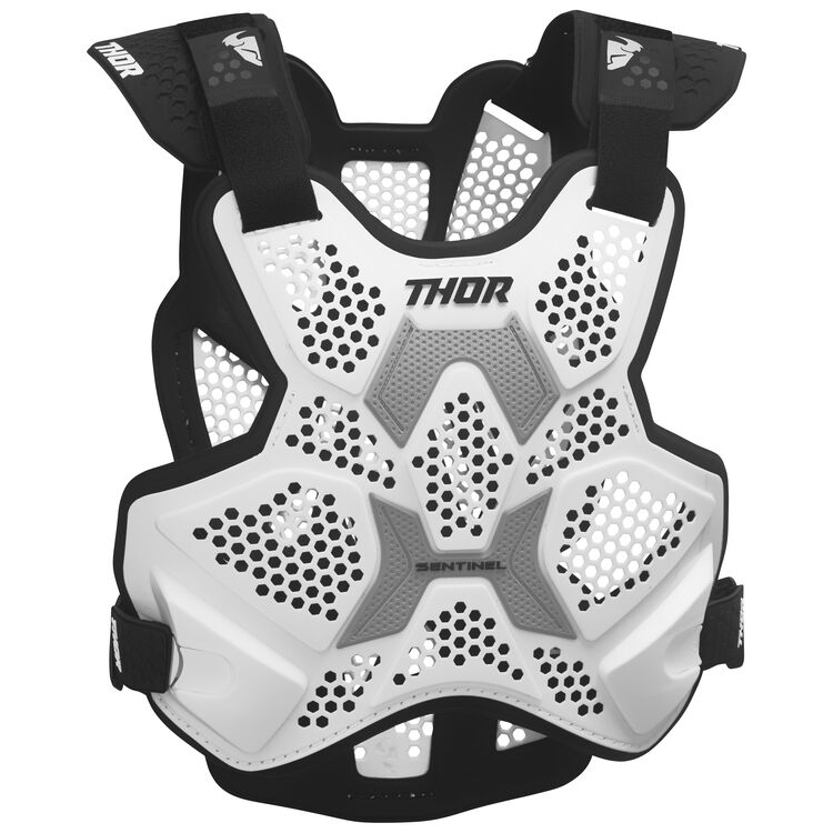 Thor Sentinel LTD Roost Guard - RevZilla