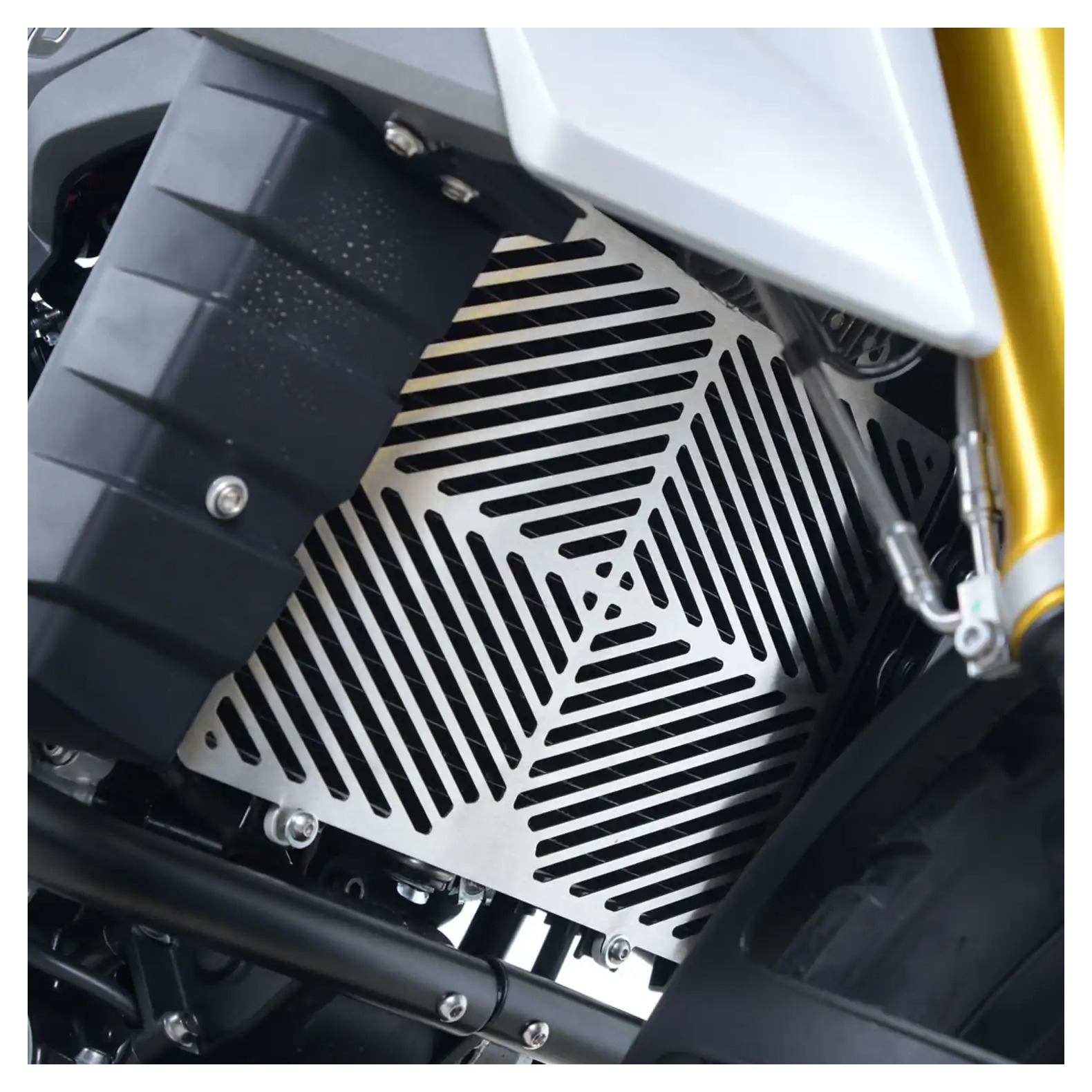 R&G Racing Stainless Steel Radiator Guard BMW G310R 2016-2024 - RevZilla