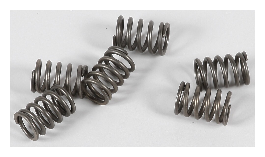 EBC CSK114 Clutch Spring Kit - RevZilla