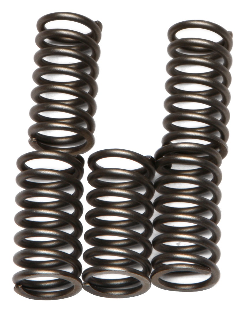 EBC CSK56 Clutch Spring Kit | 20% ($2.58) Off! - RevZilla