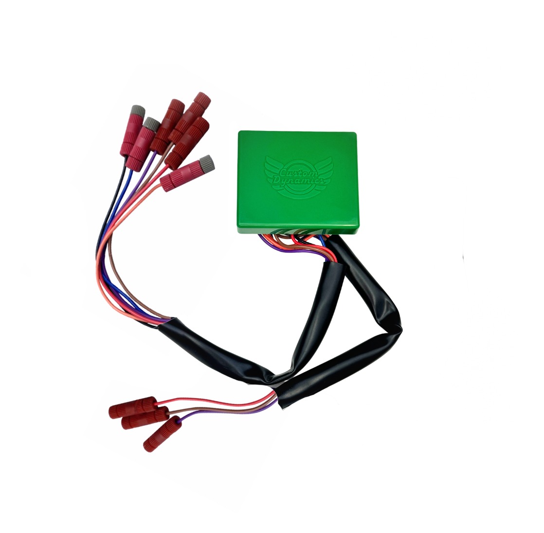 Custom Dynamics Universal Smart Triple Play Module - RevZilla